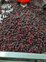 China IQF Frozen Fresh Blackberry Frozen Fruit Whole 10kgx1/carton 1kg*10/carton pallet tote HACCP/ISO/KOSHER/BRC for sale