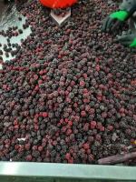China IQF Frozen Fresh Blackberry Frozen Fruit Whole 10kgx1/carton 1kg*10/carton pallet tote HACCP/ISO/KOSHER/BRC for sale