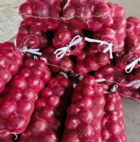 China Fresh onion whole for Your Business Round and  Packed in Mesh Bags Cartons PVC Boxes or Vacuum Packs for sale