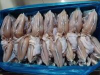 China Premium Quality Frozen Chicken Upper Back At Wholesale Prices for sale