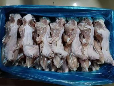 China Premium Quality Frozen Chicken Upper Back At Wholesale Prices for sale