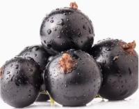 China Delicious Frozen Fruit 100% Black Currant for Your s Identity for sale