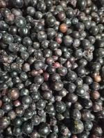China Delicious Frozen Fruit 100% Black Currant for Your s Identity for sale