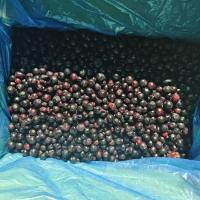 China Delicious Frozen Fruit 100% Black Currant for Your s Identity for sale