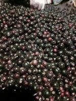 China Delicious Frozen Fruit 100% Black Currant for Your s Identity for sale