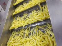 China Loading and Timely Delivery of Frozen Straight Cut Fries French for sale