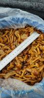 China Convenient Frozen Mushrooms in Brine with Long Shelf Life and Delicious Taste for Multiple Uses for sale