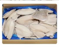 China Chinese Good Quality IQF Fresh Frozen Whole Tilapia Fish Fillet Sea Food Wholesale Price for sale