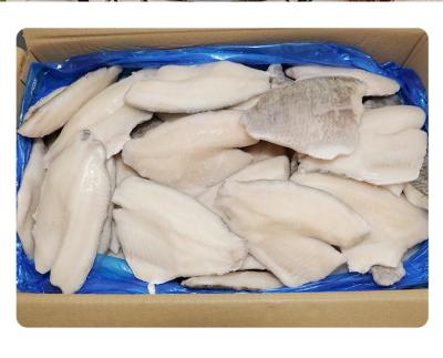 China Chinese Good Quality IQF Fresh Frozen Whole Tilapia Fish Fillet Sea Food Wholesale Price for sale