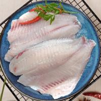 China Chinese Good Quality IQF Fresh Frozen Whole Tilapia Fish Fillet Sea Food Wholesale Price for sale