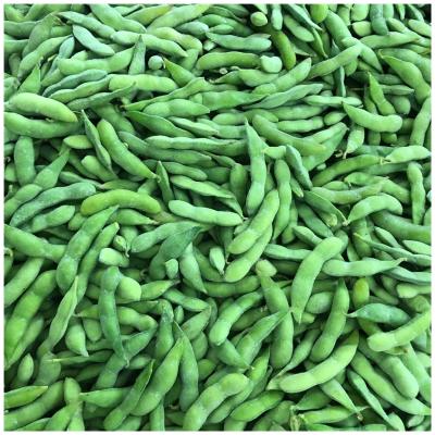 China China Supplier Soya Beans IQF Frozen Edamame in Shelled for sale