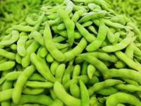 China China Supplier Soya Beans IQF Frozen Edamame in Shelled for sale