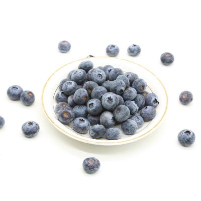 China Hot Selling Frozen Fruits IQF Blueberry 10kg Frozen Blueberry in Bulk for sale