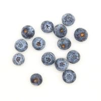 China Hot Selling Frozen Fruits IQF Blueberry 10kg Frozen Blueberry in Bulk for sale