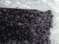China Hot Selling Frozen Fruits IQF Blueberry 10kg Frozen Blueberry in Bulk for sale