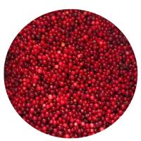 China BRC,KOSHER,HALAL, IFS, BSCI IQF Frozen Lingonberry Cranberry 100% Natural Fruit Jam Bulk Packaging with 2 Years Shelf Life Pail for sale