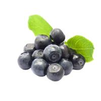 China IQF Frozen Whole Blueberries Premium Baking and Smoothie Toppings Intensely for sale