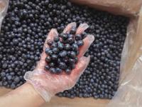China IQF Frozen Whole Blueberries Premium Baking and Smoothie Toppings Intensely for sale