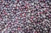 China IQF Frozen Whole Blueberries Premium Baking and Smoothie Toppings Intensely for sale