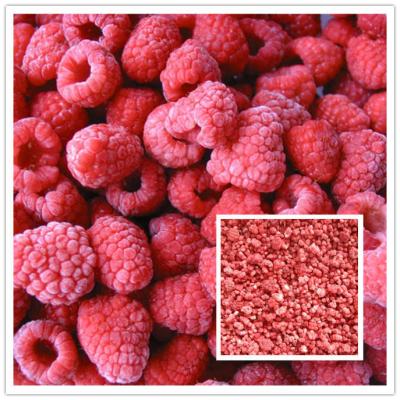 China Manufacturer Factory Price IQF High Quality Fresh Food Frozen Raspberry Serbia for Export for sale
