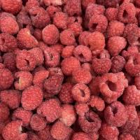 China Manufacturer Factory Price IQF High Quality Fresh Food Frozen Raspberry Serbia for Export for sale