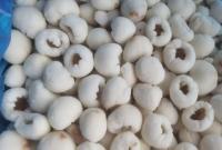 China Sinocharm BRC A Approved IQF Frozen Product Fruit Peeled Lychee Good Price Best Price Lychee Wholesale Frozen Organic Lychee for sale