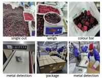 China Factory Price Wholesale Hot Sale Quality Faster Delivery Cheapest Frozen Berries Australia in Bulk for sale