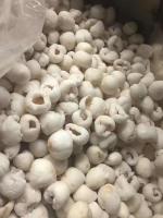 China Sinocharm BRC A Approved IQF Frozen Product Fruit Peeled Lychee Good Price Best Price Lychee Wholesale Frozen Organic Lychee for sale