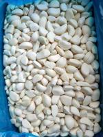 China Hot Products Factory Price White Color BRC HACCP Certificates Frozen Vegetables IQF Organic Garlic for sale
