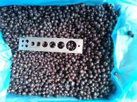 China New Corp Top Quality Good Price IQF Frozen Black Currant Frozen Fruits for sale