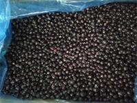 China New Corp Top Quality Good Price IQF Frozen Black Currant Frozen Fruits for sale