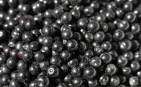 China New Corp Top Quality Good Price IQF Frozen Black Currant Frozen Fruits for sale