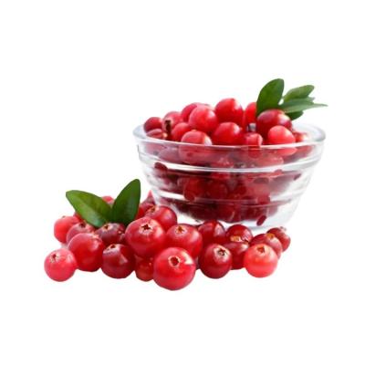 China OEM/ODM Hot Selling Economical Bulk IQF Frozen Lingonberry High Demand IQF Frozen Fruit for sale