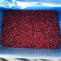 China OEM/ODM Hot Selling Economical Bulk IQF Frozen Lingonberry High Demand IQF Frozen Fruit for sale
