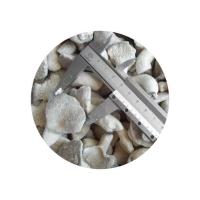 China China HACCP BRC IQF Frozen Baby Oyster Mushroom Product for sale