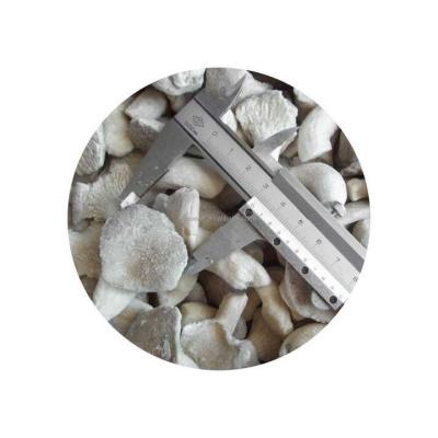 China China HACCP BRC IQF Frozen Baby Oyster Mushroom Product for sale