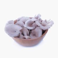 China China HACCP BRC IQF Frozen Baby Oyster Mushroom Product for sale