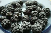 China Frozen Fruits Berries Hot Sale and High Quality IQF Frozen Blackberry for sale