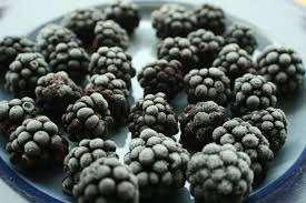 China Frozen Fruits Berries Hot Sale and High Quality IQF Frozen Blackberry for sale