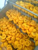 China IQF Organic Yellow Peach Halves Frozen Fruits Sweet Taste Bulk Packaged Preserved Water Pulp Whole Cubes Dice Halve Available for sale