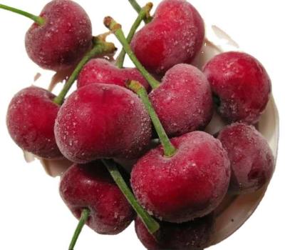 China Sinocharm HACCP OEM Brands Factory Price Pitless Wholesale IQF Frozen Fresh Sour Cherry Fruit From China for Dessert for sale
