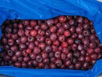 China Sinocharm HACCP OEM Brands Factory Price Pitless Wholesale IQF Frozen Fresh Sour Cherry Fruit From China for Dessert for sale