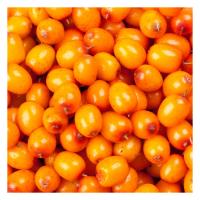 China Wholesale Organic Sea Buckthorn Frozen Sea Buckthorn Berries for sale