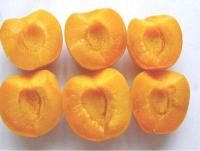 China High Quality IQF Frozen Apricot Halves Hot Sales for Wholesale and Retail Factory Price Water Preservation Bulk Packaging for sale