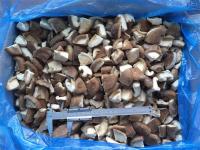 China Origin China Hot Selling Iqf Food Mushroom Cultivation Shiitake Mushroom for Frozen Shiitake for sale