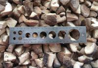 China Origin China Hot Selling Iqf Food Mushroom Cultivation Shiitake Mushroom for Frozen Shiitake for sale