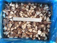 China Origin China Hot Selling Iqf Food Mushroom Cultivation Shiitake Mushroom for Frozen Shiitake for sale