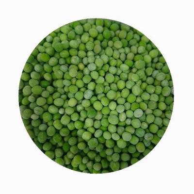China Wholesale IQF Peas Premium Quality Frozen Green Peas 10kg Frozen Green Peas for sale