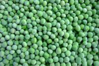 China Wholesale IQF Peas Premium Quality Frozen Green Peas 10kg Frozen Green Peas for sale