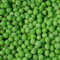 China Wholesale IQF Peas Premium Quality Frozen Green Peas 10kg Frozen Green Peas for sale